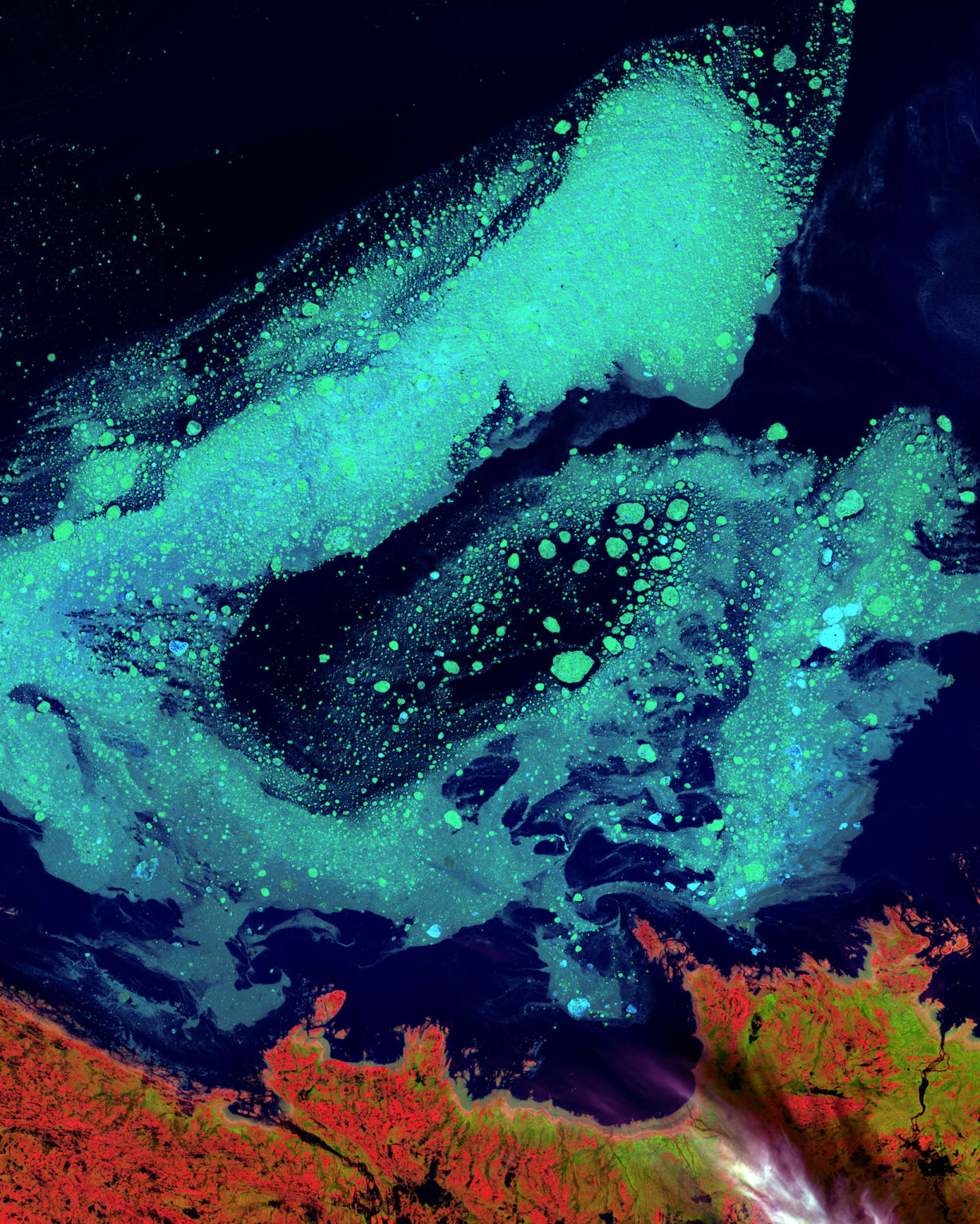 福克斯灣 Foxe Basin – The Affairs 編集者新聞